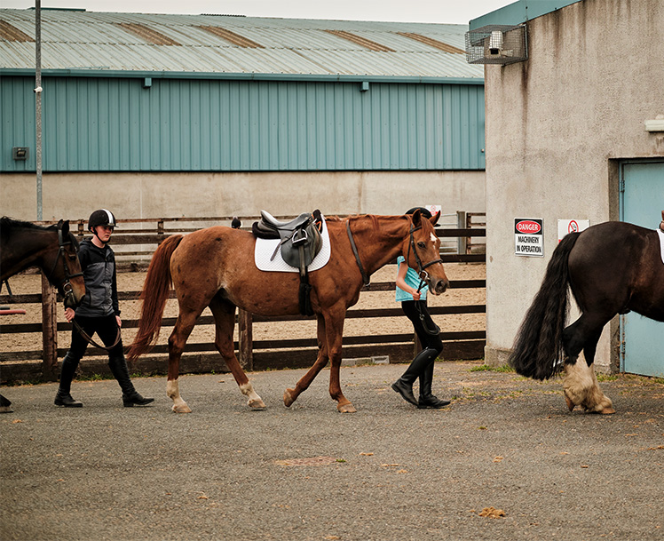 Horse Riding – Cherry Orchard Equine Centre