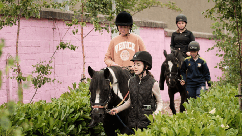 Equine Assisted Learning (EAS) – Cherry Orchard Equine Centre